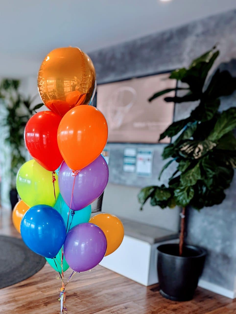 Impressive Collection - Balloons Galore